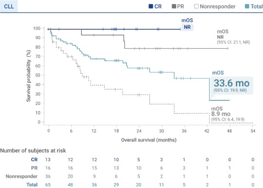 BREYANZI® R/R CLL & SLL Efficacy | For HCPs