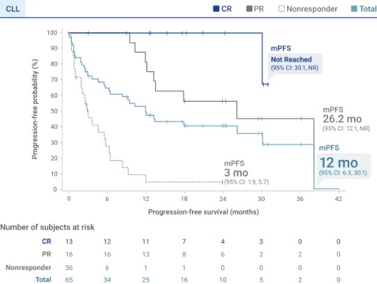 BREYANZI® R/R CLL & SLL Efficacy | For HCPs