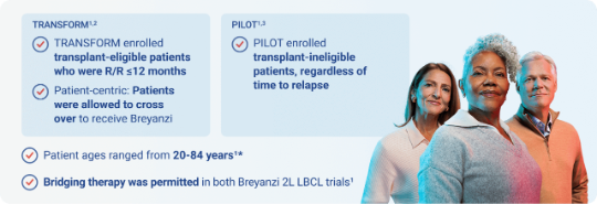 BREYANZI® LBCL Patient Identification | For HCPs
