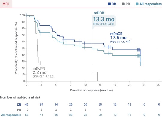 BREYANZI® R/R MCL Efficacy | For HCPs