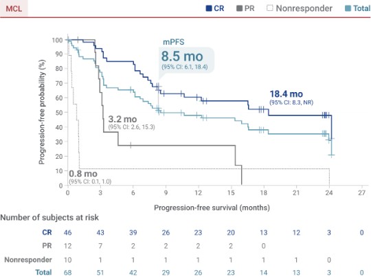 BREYANZI® R/R MCL Efficacy | For HCPs